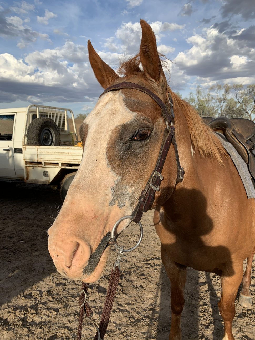 Life after Radford with Tilly Stanier (Class of 2020) – Radford ...