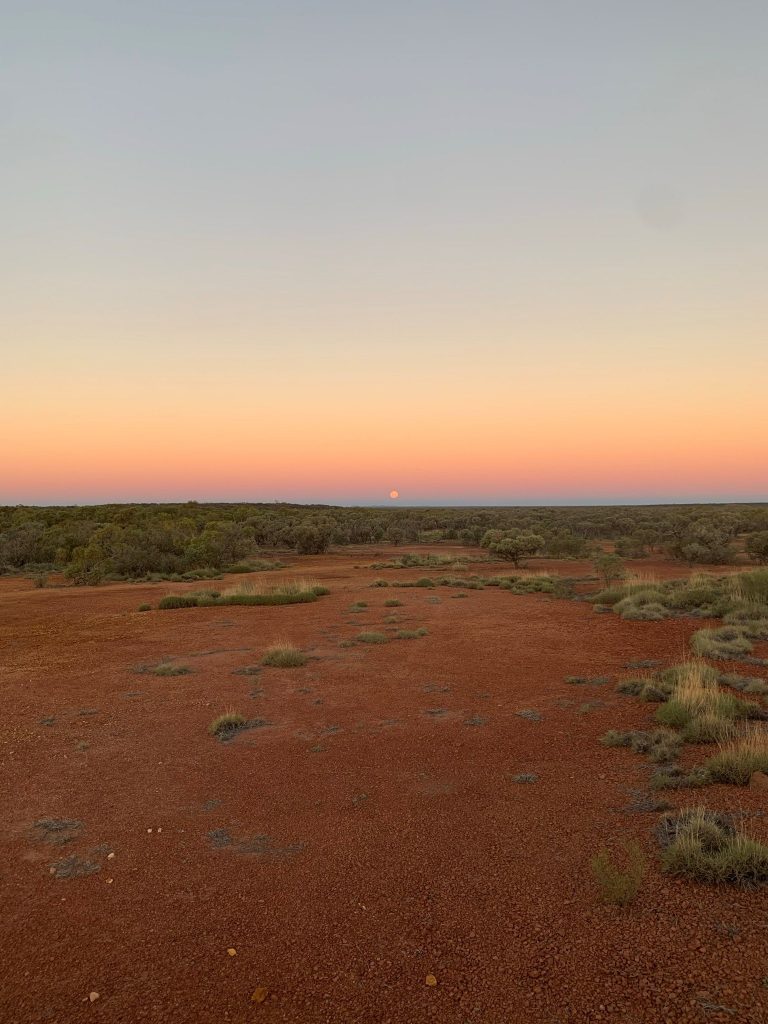 Life after Radford with Tilly Stanier (Class of 2020) – Radford Collegians