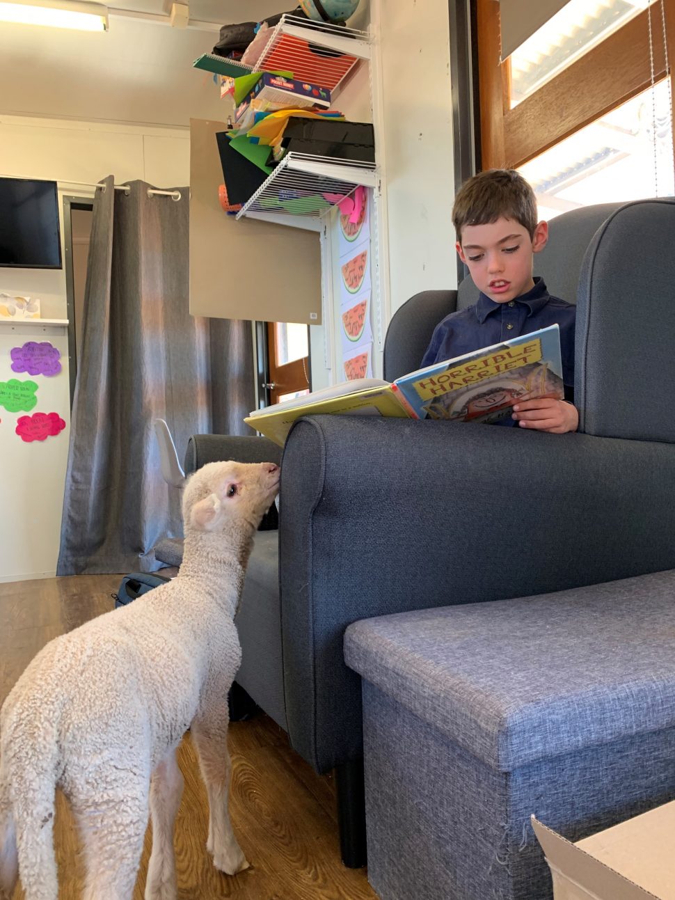 Life after Radford with Tilly Stanier (Class of 2020) – Radford Collegians